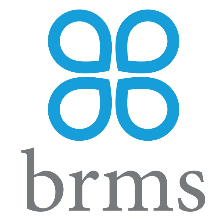 BENEFIT & RISK MANAGEMENT SERVICES - Updated December 2025 - 80 Iron ...