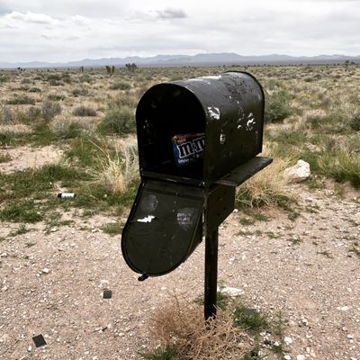 THE BLACK MAILBOX - 29 Photos & 14 Reviews - 1 Mailbox Rd, Rachel ...