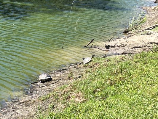 HOLLY RIDGE GOLF - Updated May 2025 - 14 Photos & 15 Reviews - 8818 ...