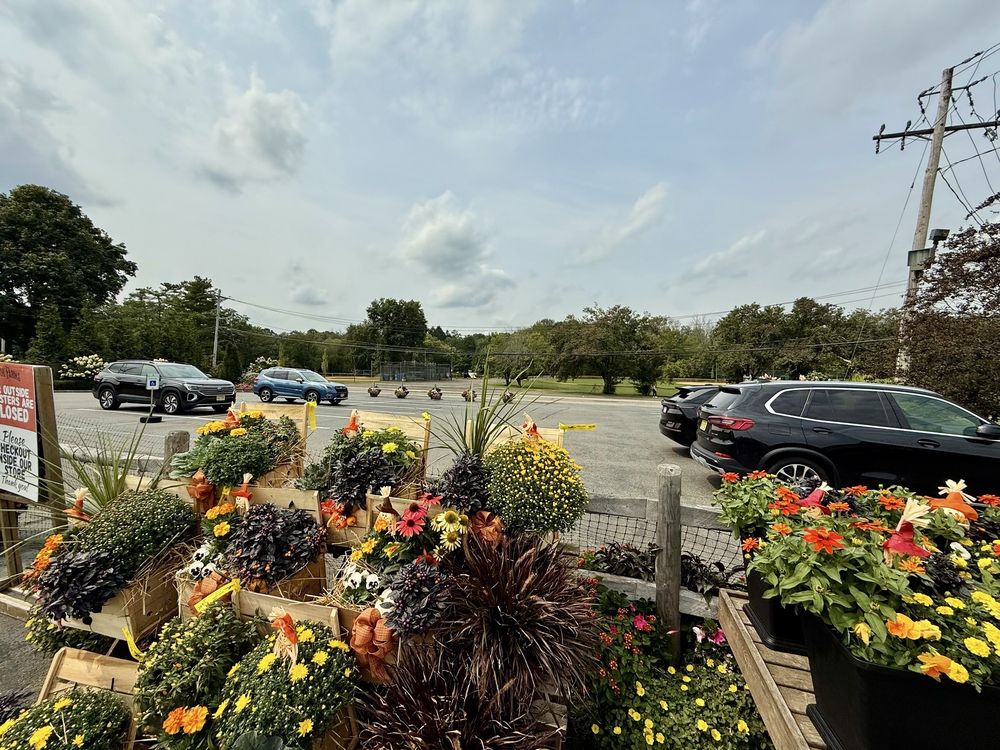 SECOR FARMS - Updated January 2026 - 265 Photos & 86 Reviews - 168 ...