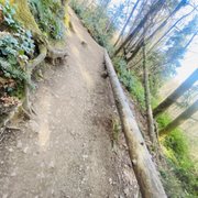 POO POO POINT - CHIRICO TRAIL - 447 Photos & 155 Reviews - Issaquah ...