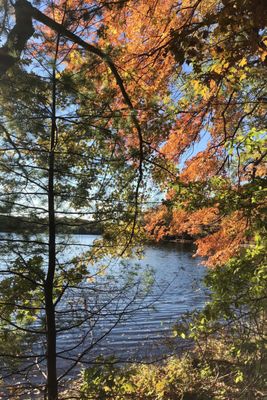 HOPKINTON STATE PARK - 50 Photos & 39 Reviews - Hiking - 164 Cedar St ...