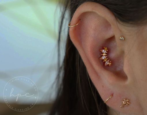 HIKINA PIERCING COMPANY - 51 Photos & 10 Reviews - 767 Kailua Rd ...