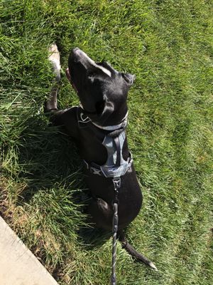 LION RANCH VINEYARDS & WINERY - Updated February 2025 - 62 Photos & 42 ...