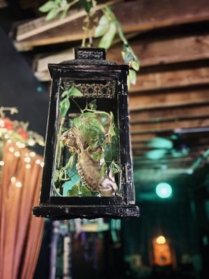 DARK BLOOM COFFEE COMPANY - Updated December 2025 - 42 Photos & 19 ...