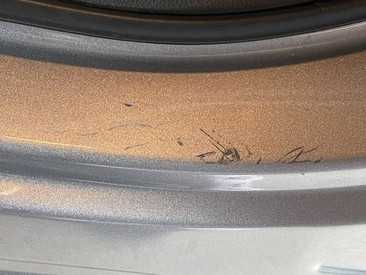 WILDE SUBARU - Updated January 2026 - 44 Photos & 96 Reviews - 1560 E ...