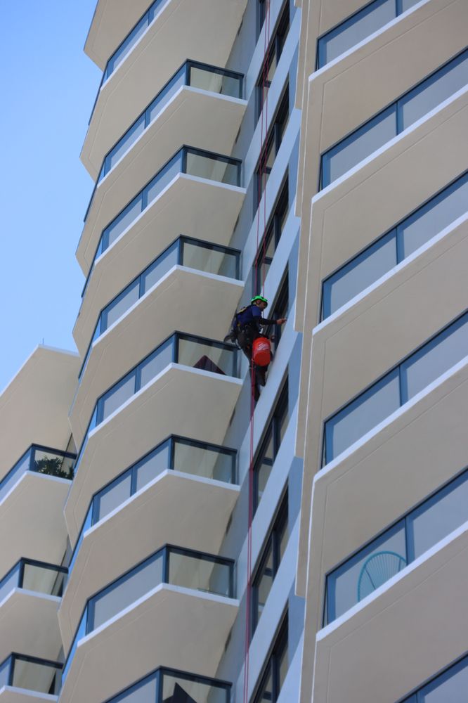 SQUEEGEE SQUAD - Updated July 2025 - Request a Quote - 54 Photos - Palm ...