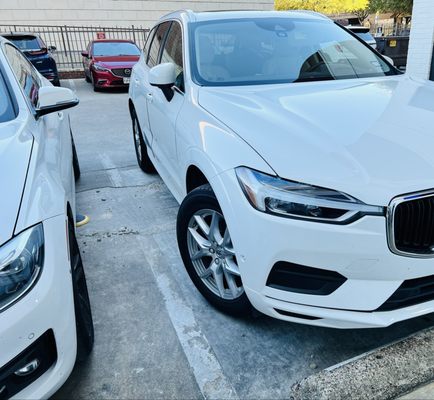 CARNATION AUTO SPA - Updated June 2026 - 29 Photos & 77 Reviews - 4915 ...