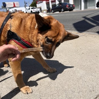 STANDING’S BUTCHERY - Updated August 2024 - 136 Photos & 156 Reviews ...