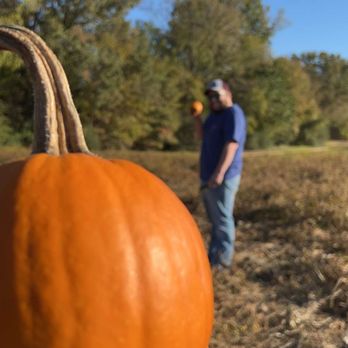 CEDAR HILL FARM - Updated October 2025 - 13 Photos & 24 Reviews - 8 ...