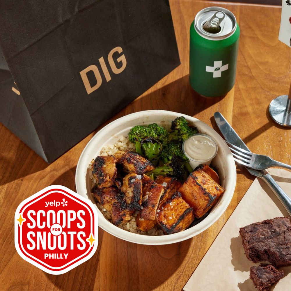 SCOOPS FOR SNOOTS EVENT: DIG CENTER CITY - Updated March 2025 - 1616 ...