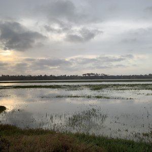 BACK BAY LOOP TRAIL - 449 Photos & 158 Reviews - 600 Shellmaker Rd ...