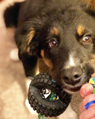 MOORE TIRES - Updated January 2026 - 40 Photos & 25 Reviews - 2400 1st ...