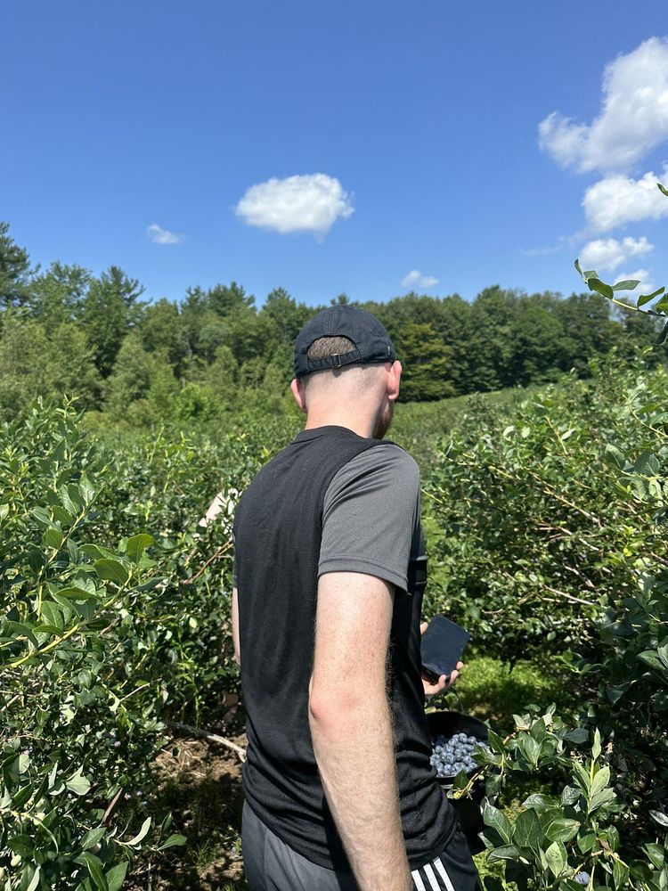 STAN’S BERRY PATCH - Updated April 2026 - 208 County Rte 84, West ...