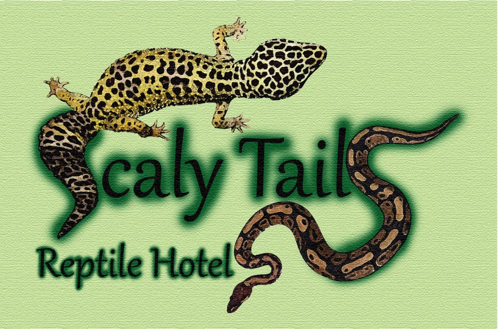 SCALY TAILS - Pet Sitting - 695 Sedgewood Cir, Melbourne, FL - Phone ...