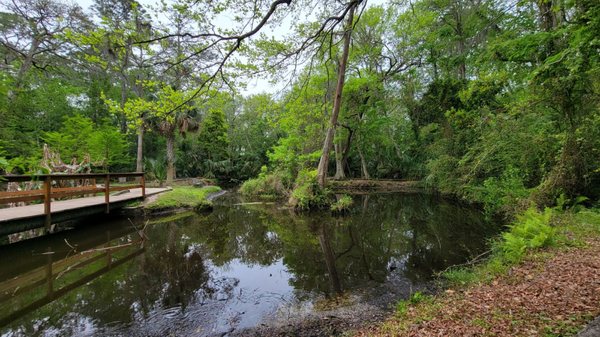 HOWELL PARK - Updated January 2026 - 54 Photos - 810 Seminole Rd ...