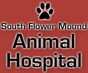 SOUTH FLOWER MOUND ANIMAL HOSPITAL - Updated October 2025 - 18 Photos ...