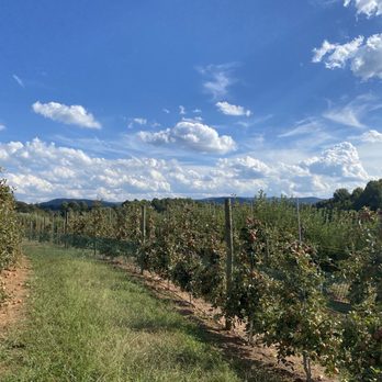 BJ REECE ORCHARDS - Updated October 2024 - 412 Photos & 179 Reviews ...