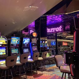 ATLANTIS PURPLE PARROT - Updated June 2025 - 485 Photos & 303 Reviews ...