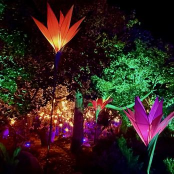 LIGHTSCAPE SAN DIEGO - Updated October 2025 - 250 Photos & 59 Reviews ...