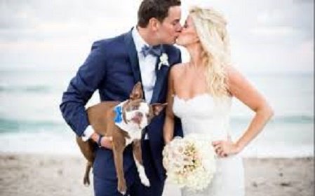 HEATHER FUNK PHOTOGRAPHY - Updated July 2024 - 235 Photos - Miami Beach ...