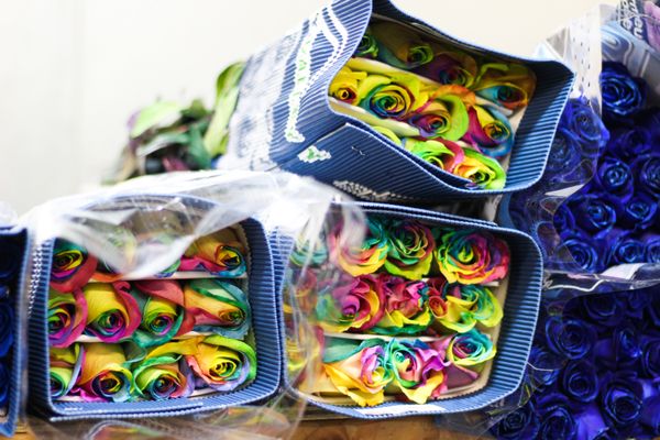 HUNTS POINT FLOWER MARKET - Updated September 2024 - 38 Photos & 28 ...