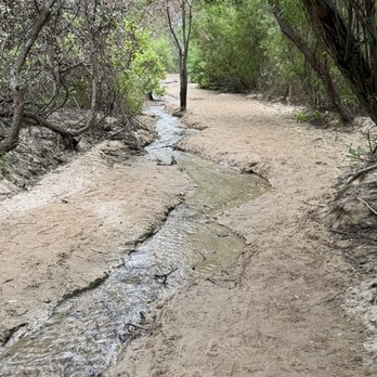 WHITING RANCH WILDERNESS PARK - Updated November 2025 - 928 Photos ...