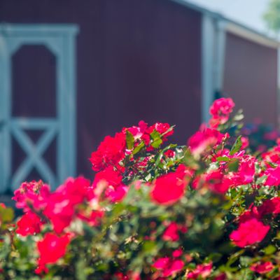 BURLESON PUBLIC LIBRARY - Updated August 2025 - 17 Photos & 11 Reviews ...