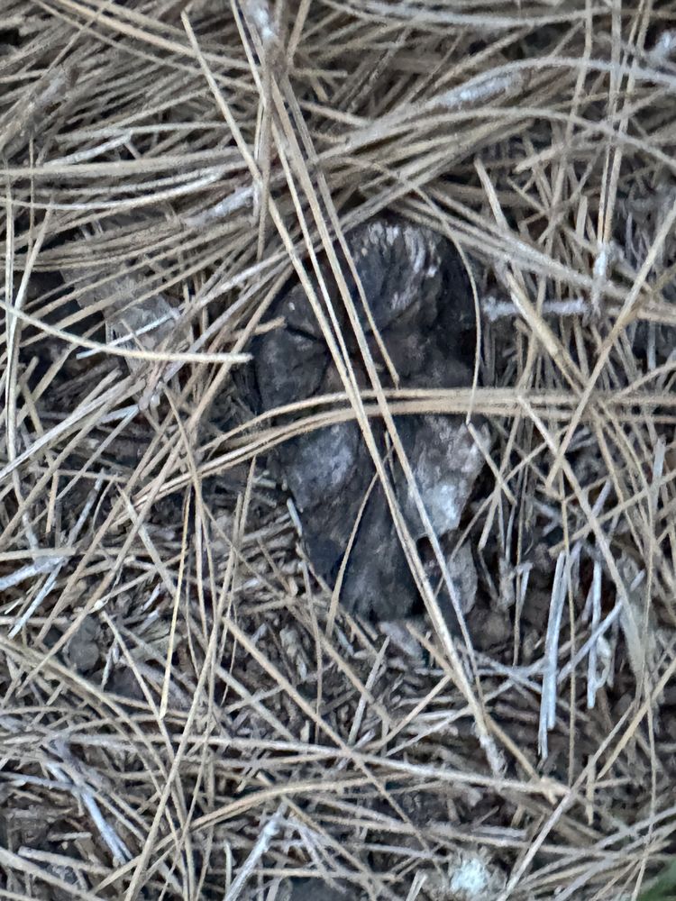 FIRSTSERVICE RESIDENTIAL - Updated January 2026 - 33 Photos & 29 ...