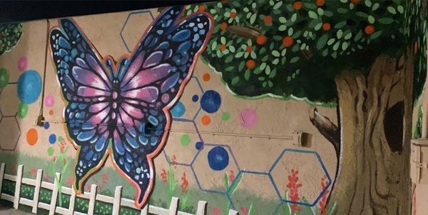 GARDEN AMPHITHEATRE - 62 Photos & 49 Reviews - Music Venues - 12762 ...