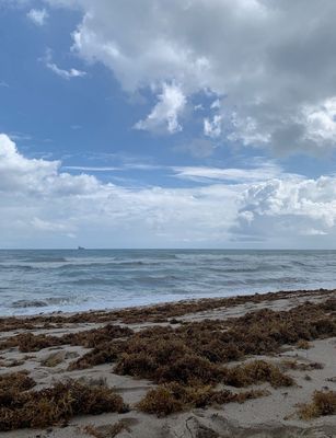 SEBASTIAN BEACH - Updated December 2025 - 44 Photos & 26 Reviews - 1 N ...