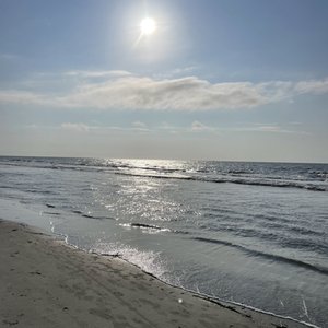 COLIGNY BEACH PARK - 381 Photos & 124 Reviews - 1 N Forest Beach Dr ...