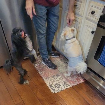 PARLOR DOUGHNUTS - Updated December 2025 - 76 Photos & 29 Reviews ...