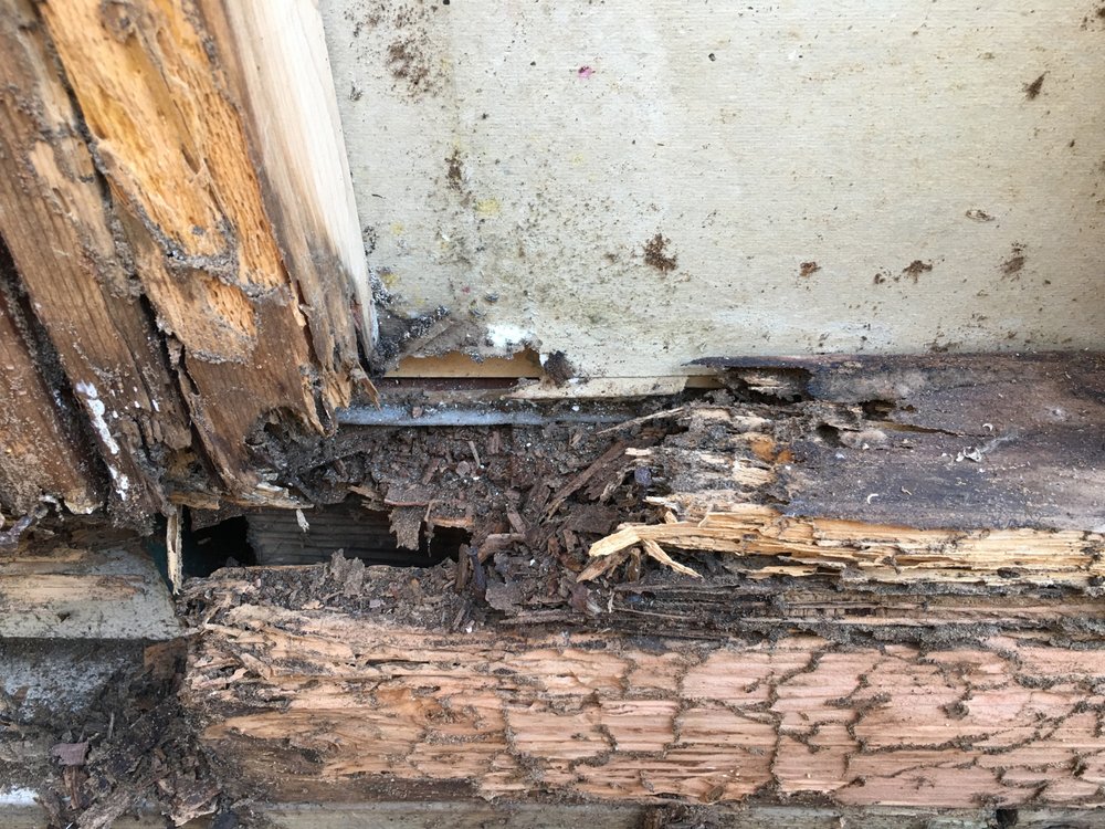 COUNTY WIDE CONSTRUCTION AND PAINTING - Updated July 2025 - 1168 Hailey ...