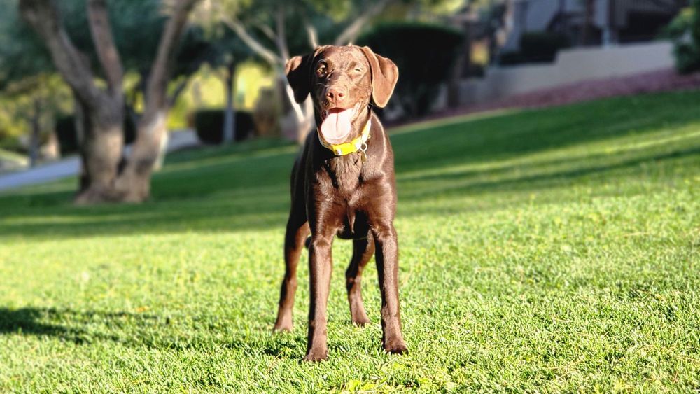 PECCOLE RANCH WALKING TRAIL - Updated December 2025 - 263 Photos & 53 ...