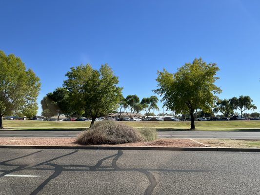 DOBSON RANCH GOLF COURSE - Updated October 2025 - 54 Photos & 160 ...
