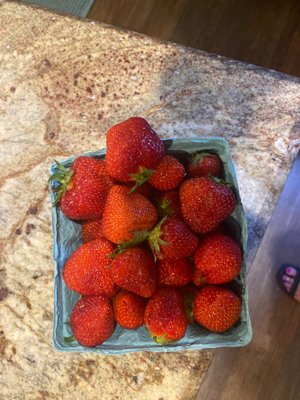 STOLTZFUS FARMS - Updated October 2025 - 23 N Market St, Lancaster ...