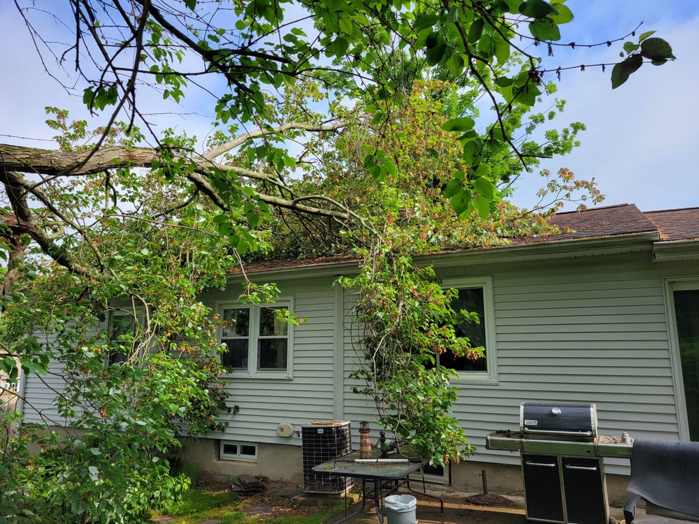ARBORTECH TREE SERVICES - Updated July 2025 - 19 Photos - 23 Paridon St ...