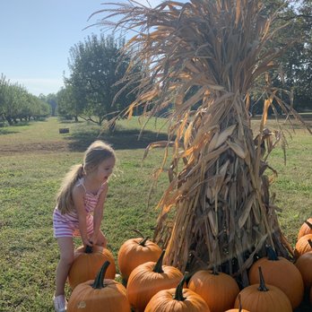 PRINGLES ORCHARD - Updated January 2026 - 14 Photos & 11 Reviews - 2697 ...