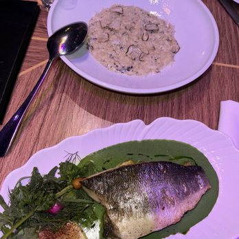 KATSIN - Updated November 2025 - 940 Photos & 408 Reviews - 515 W ...