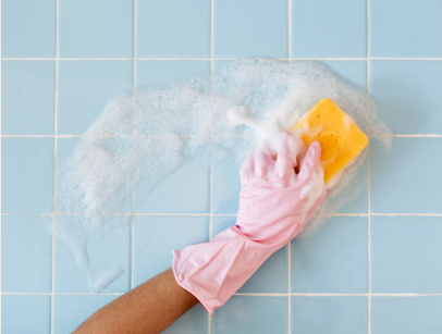 MISH MISH CLEANING ORGANIZATION - Request a Quote - Herndon, Virginia ...