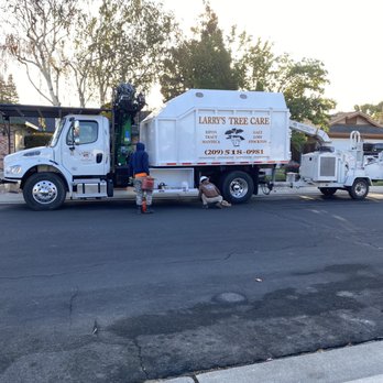 LARRY’S TREE CARE - Updated May 2024 - 25 Photos & 79 Reviews ...