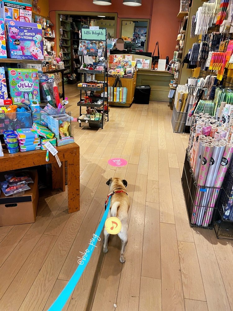 PAPER SOURCE - Updated December 2025 - 103 Photos & 168 Reviews - 1925 ...