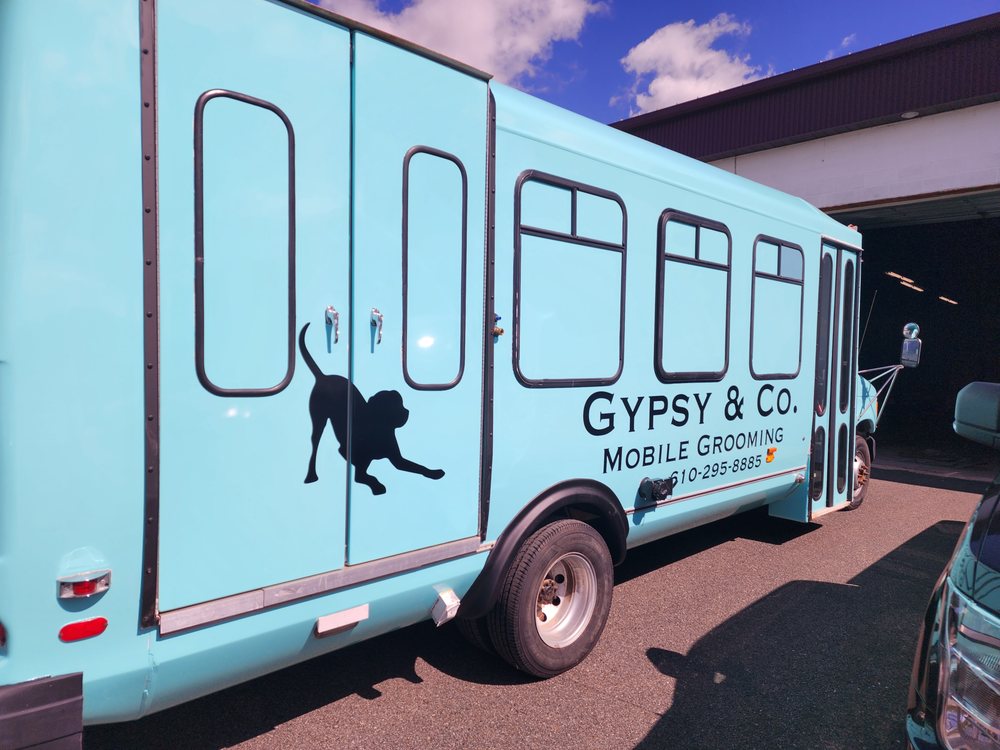 GYPSY & CO - Updated January 2025 - Breinigsville, Pennsylvania - Pet ...
