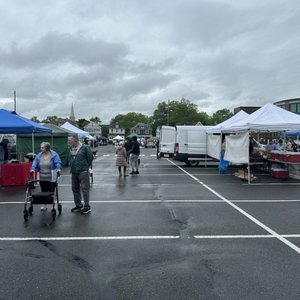 VACCHIANO FARM - Updated August 2025 - 139 Photos & 29 Reviews - 803 US ...