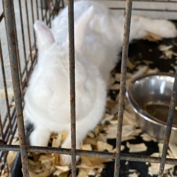 GOOD MOOD RANCH - Updated December 2025 - 148 Photos & 18 Reviews - 306 ...