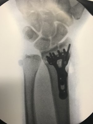 JASON H TAM, MD - Updated December 2025 - 1155 Northern Blvd, Manhasset ...