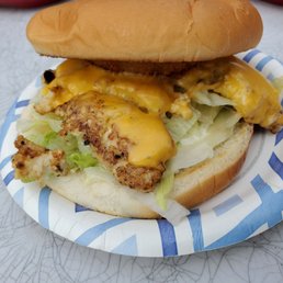 ARCTIC ROADRUNNER - Updated April 2025 - 205 Photos & 234 Reviews ...