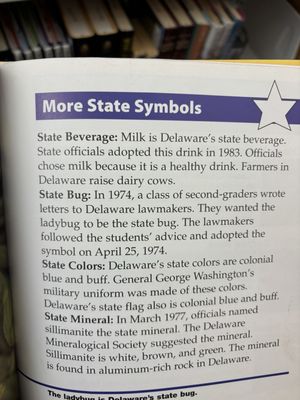 BEAR LIBRARY - Updated December 2025 - 21 Photos - 101 Governors Pl ...