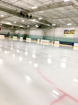 THE RINKS - LAKEWOOD ICE - 74 Photos & 102 Reviews - 3975 Pixie Ave ...